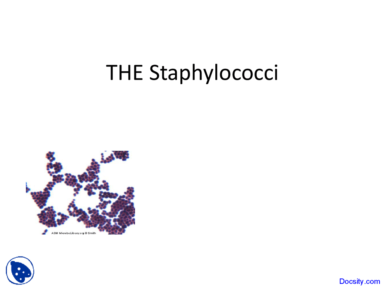 Staphylococci - Bacteriology - Lecture Slides | Slides Bacteriology ...