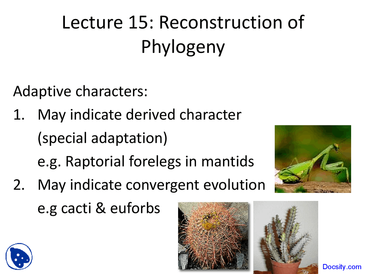 Reconstruction Of Phylogeny Evolution Lecture Slides Docsity
