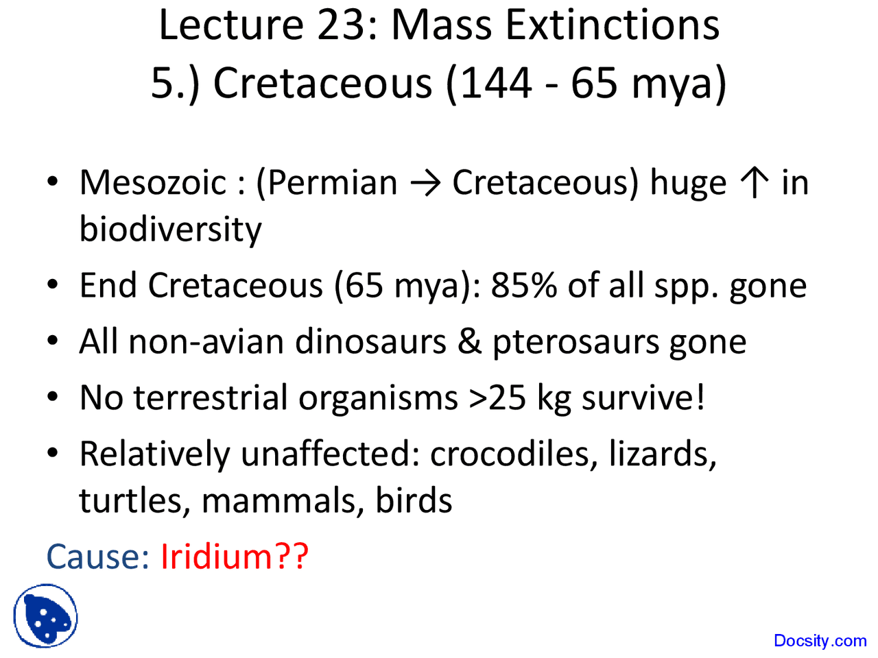 Cretaceous Evolution Lecture Slides Docsity