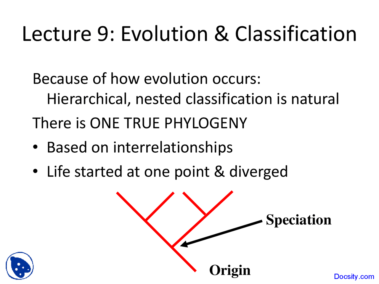 Evolution And Classification Evolution Lecture Slides Docsity