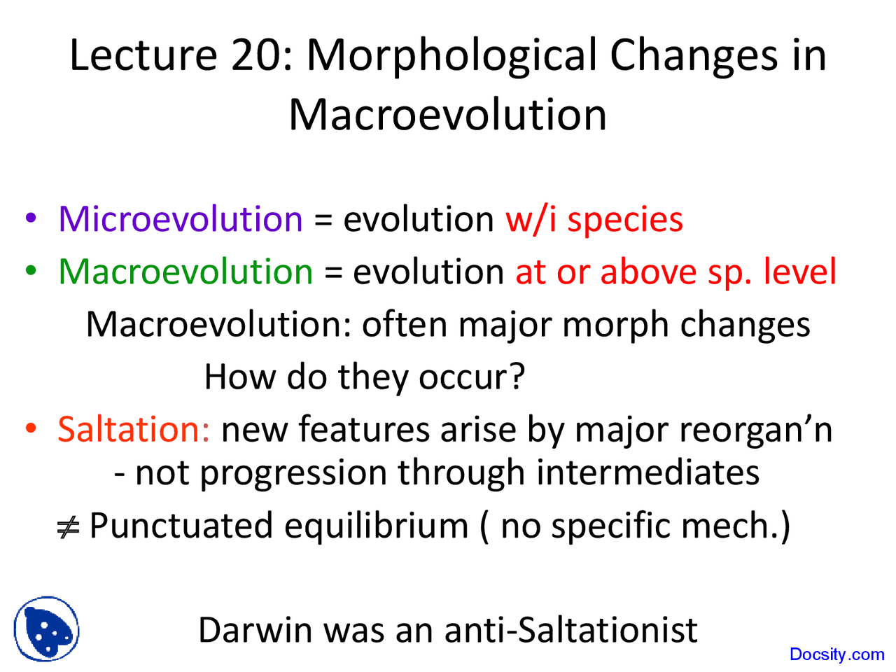 Morphological Changes in Macroevolution - Evolution - Lecture Slides - Docsity