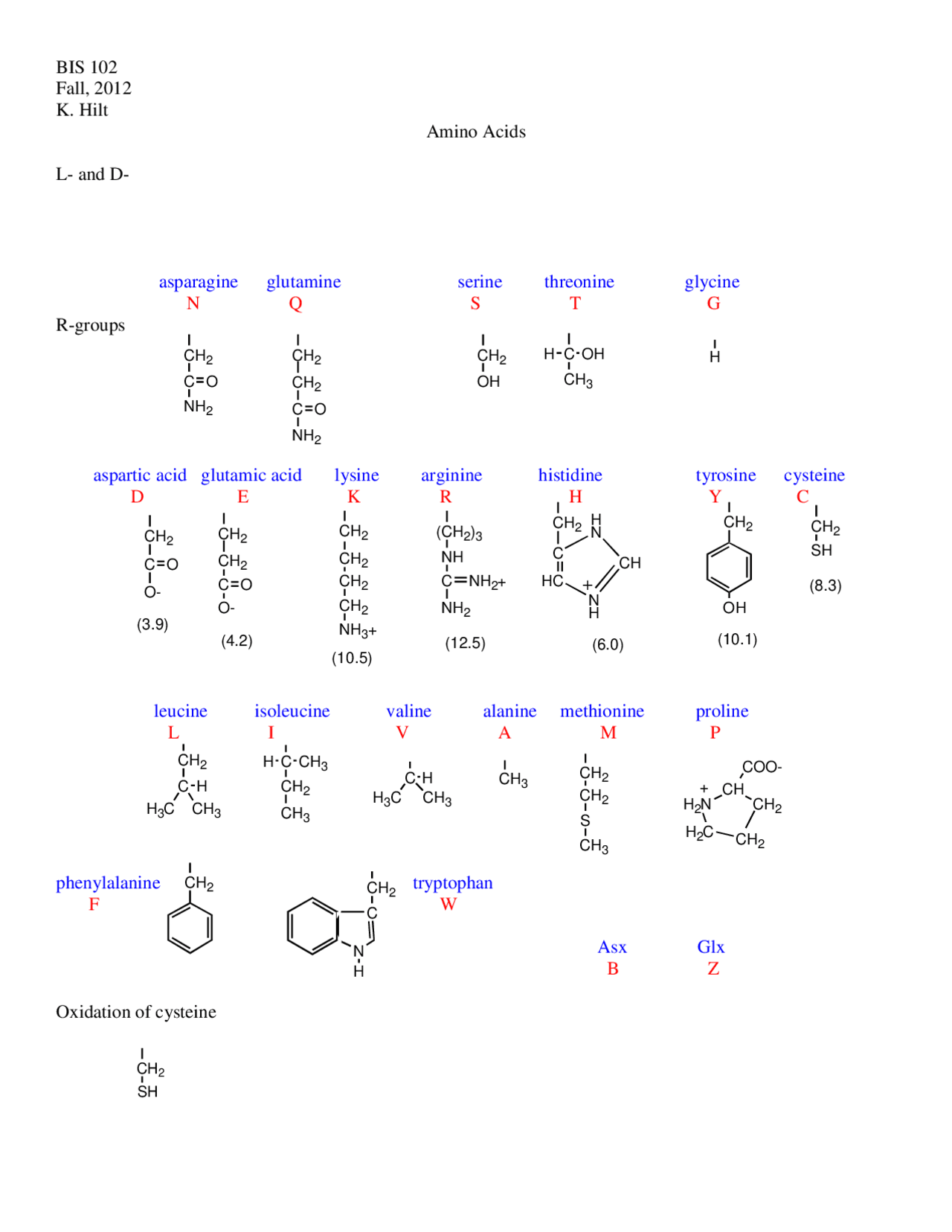 Notes On Amino Acids Structure Function Biomolecules Bis 102 Docsity