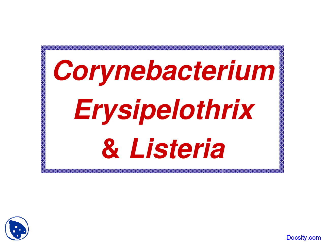 Corynebacterium - Microbiology - Lecture Slides | Slides Microbiology ...