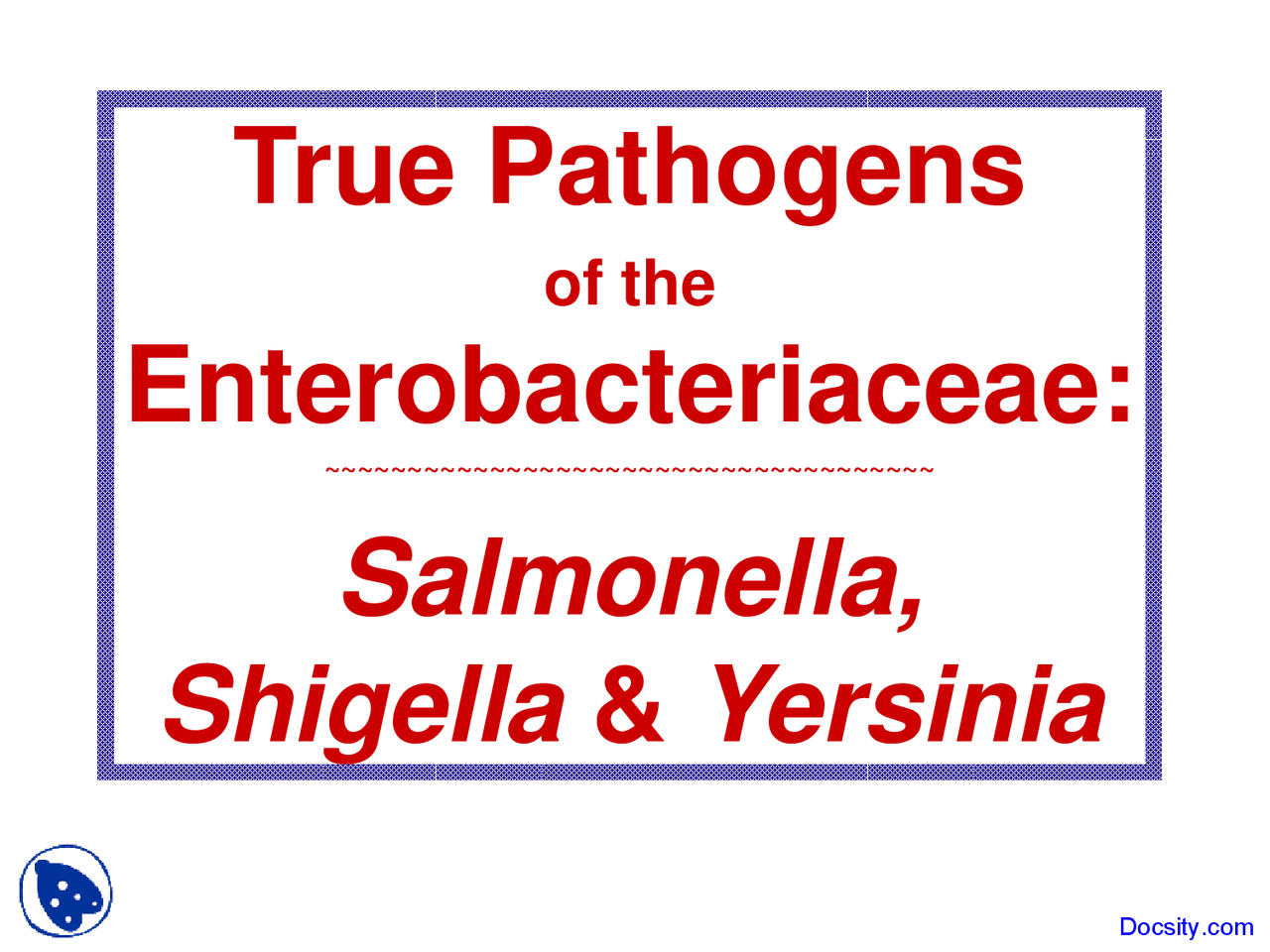 Pathogens Of Enterobacteriaceae Microbiology Lecture Slides Docsity