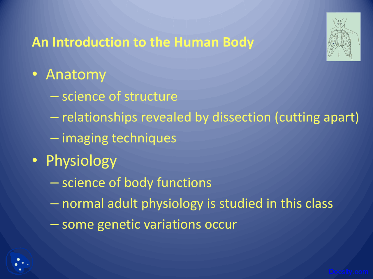 Introduction To The Human Body Physiology Lecture Slides Docsity