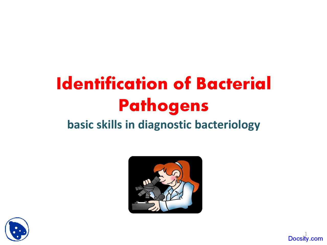Identification Of Bacterial Pathogens Microbiology Lecture Slides