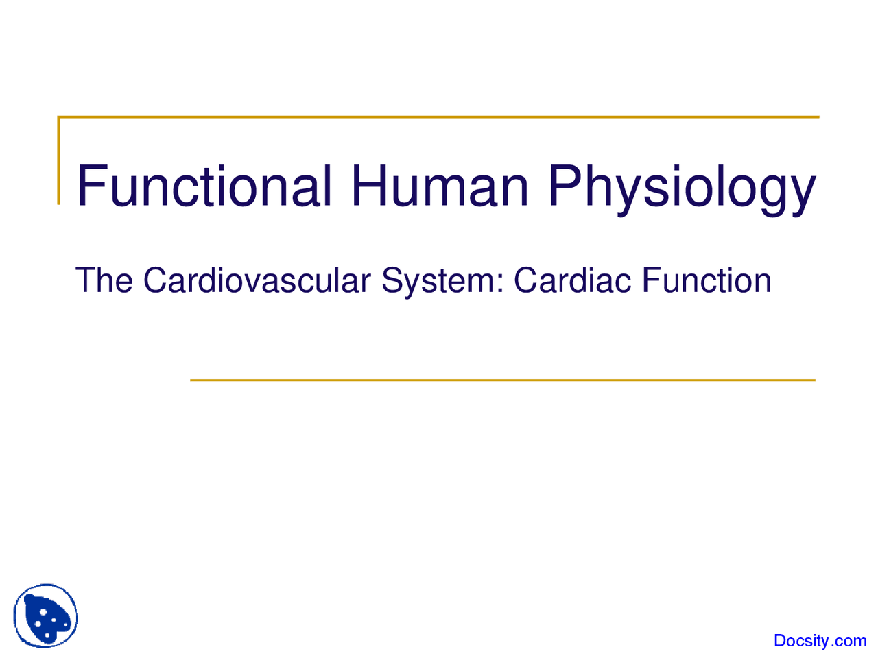 Cardiovascular System - Physiology - Lecture Slides | Slides Physiology | Docsity