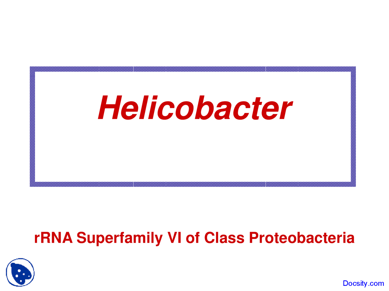 Helicobacter - Microbiology - Lecture Slides | Slides Microbiology ...