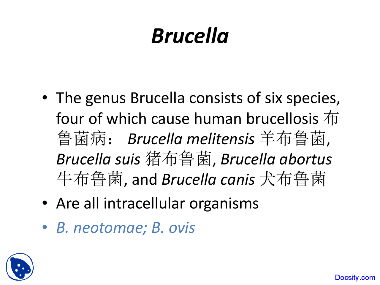 Brucella - Microbiology - Lecture Slides | Slides Microbiology | Docsity