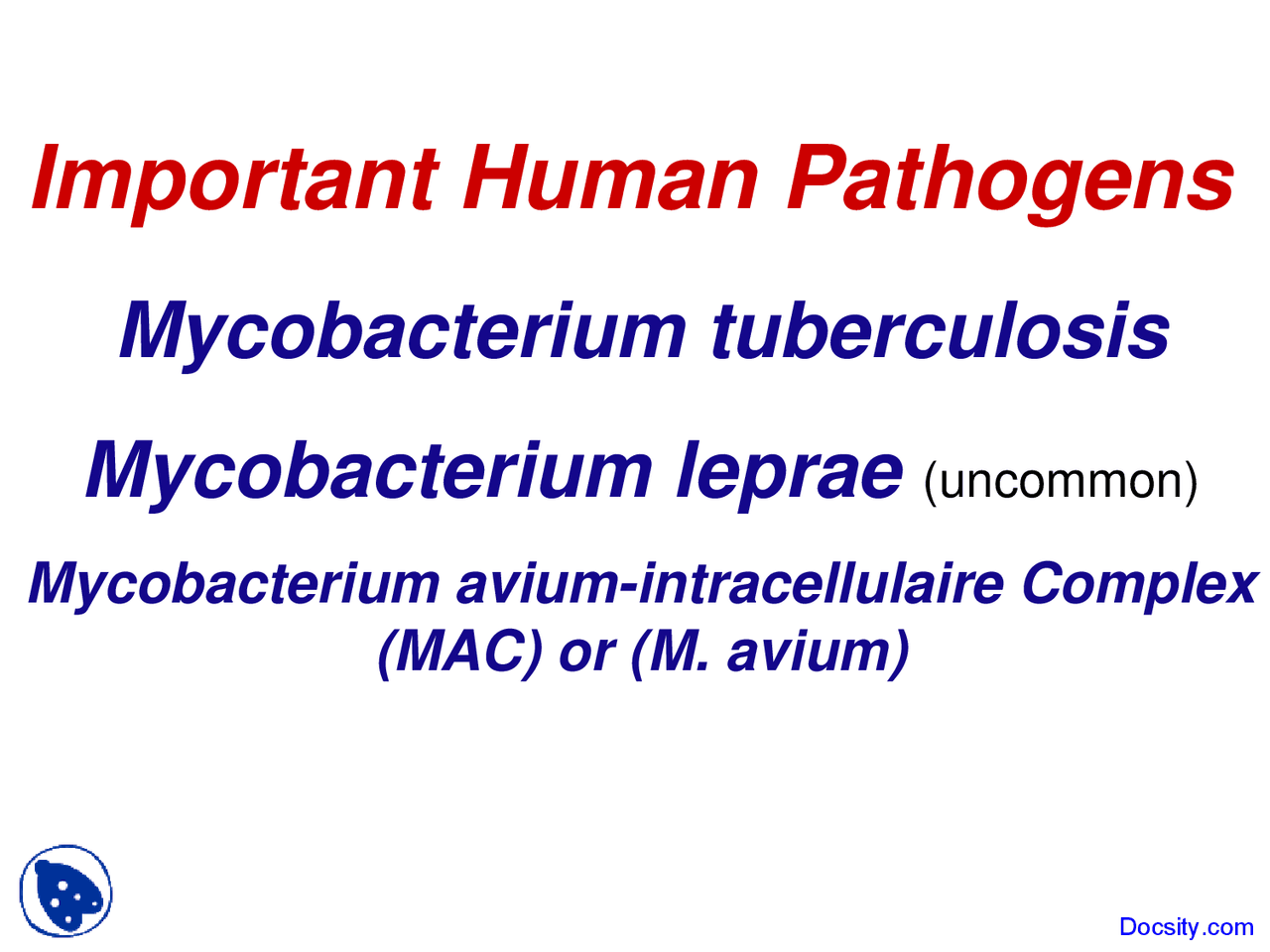 Important Human Pathogens Microbiology Lecture Slides Docsity