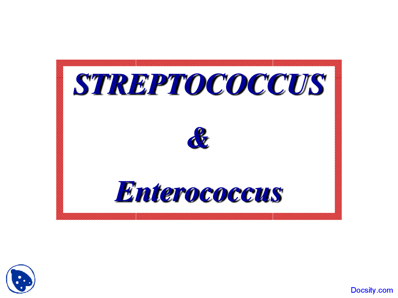 Enterococcus - Microbiology - Lecture Slides | Slides Microbiology ...