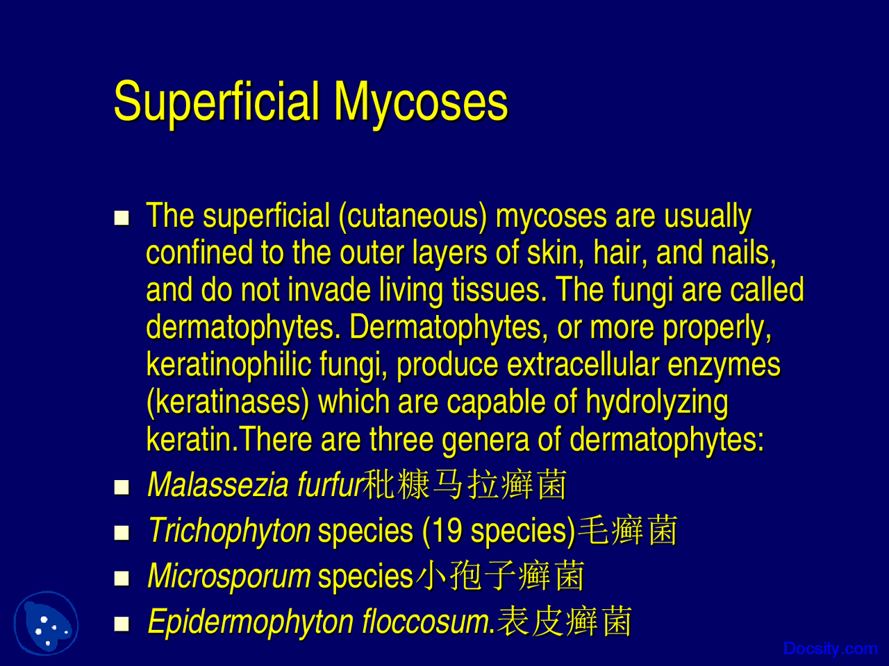 Superficial Mycoses - Microbiology - Lecture Slides | Slides ...