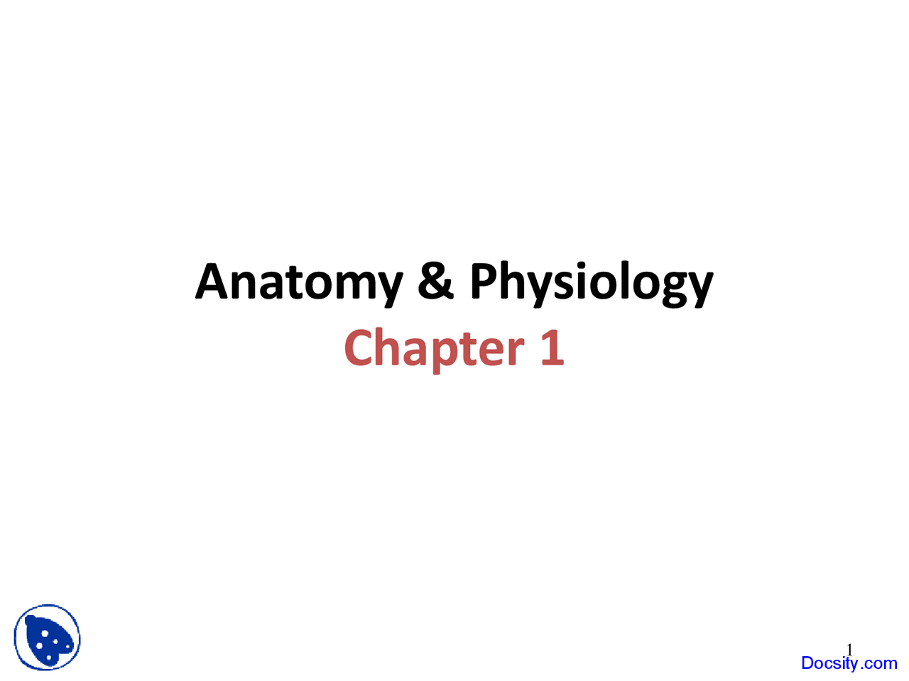Anatomy and Physiology - Introduction to Human Physiology - Lecture ...