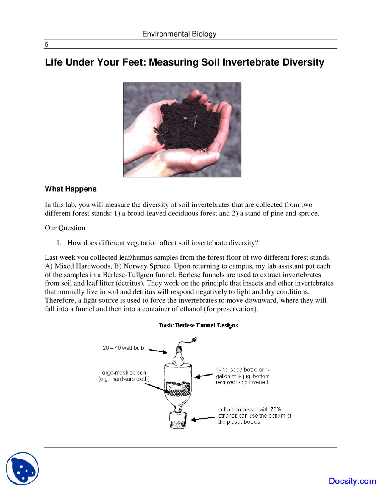 Measuring Soil Invertebrate Diversity - Environmental Biology - Lab ...