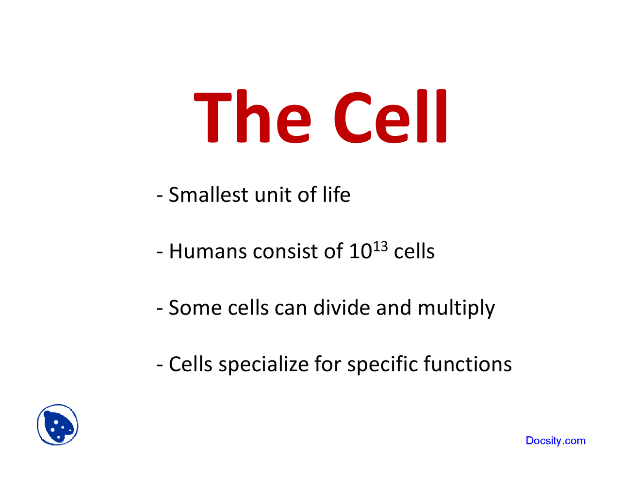 Cell - Fundamentals of Human Biology - Lecture Slides - Docsity