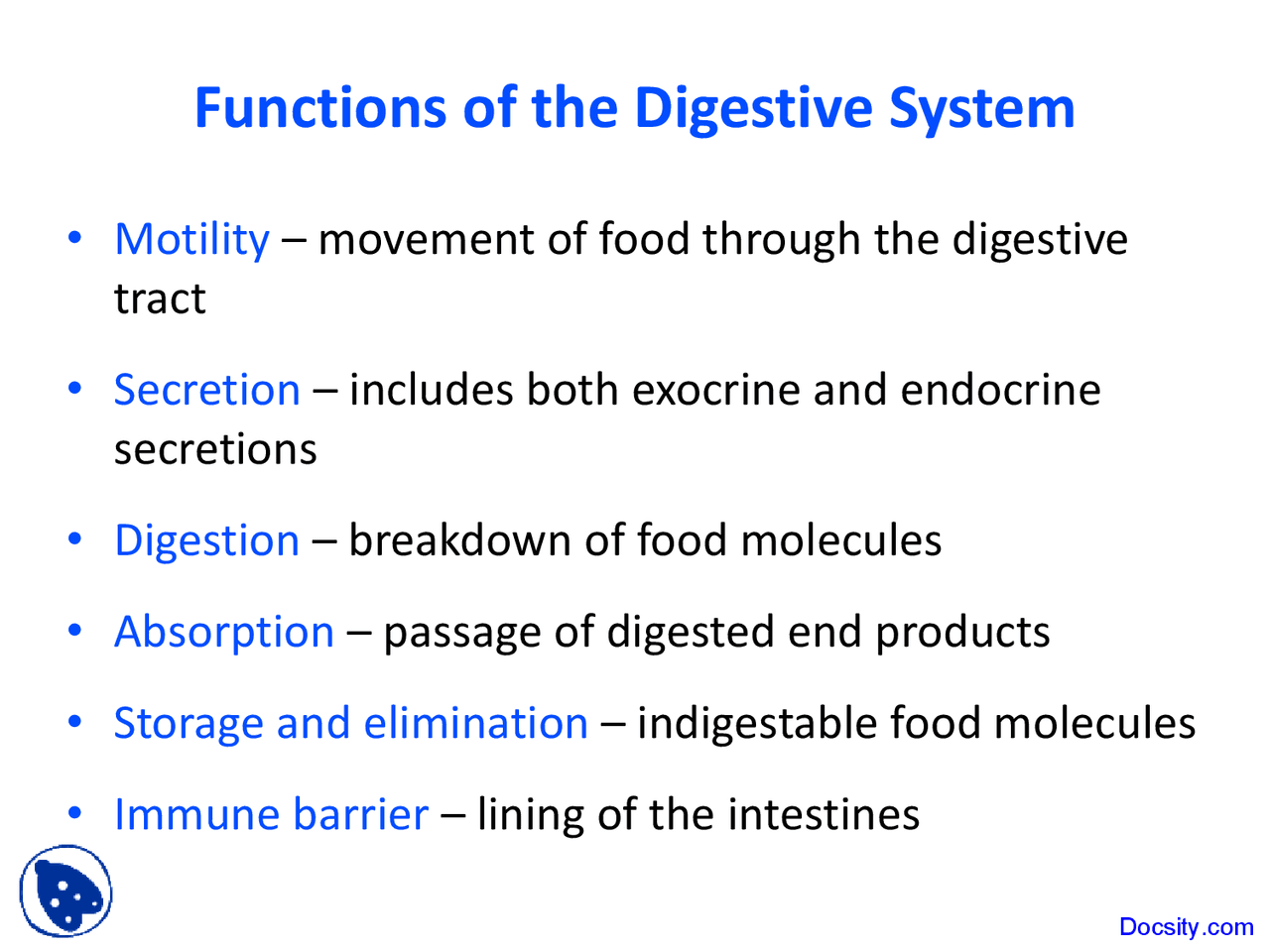 Functions of Digestive System - Introduction to Human Physiology ...