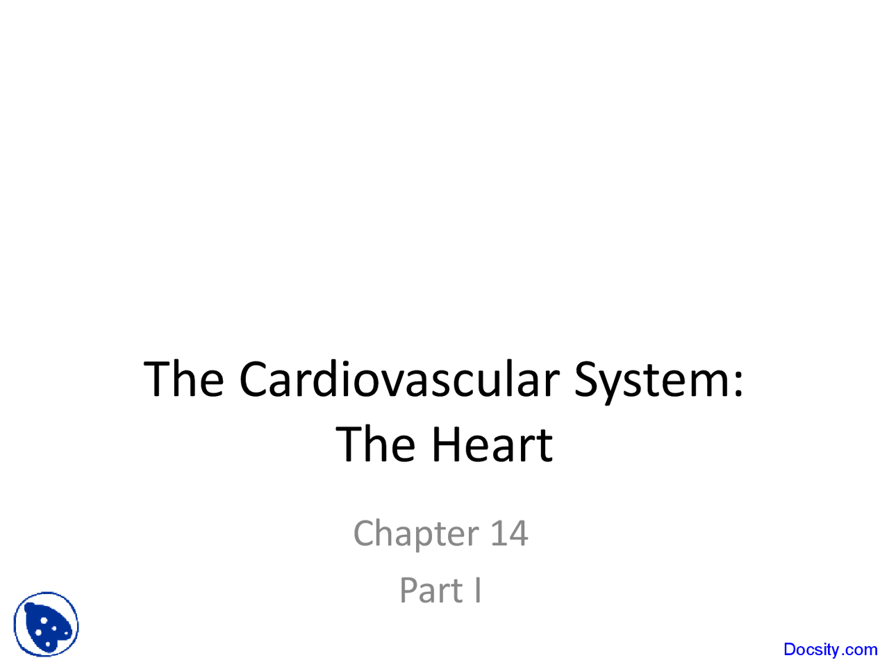 Cardiovascular System - Introduction to Human Physiology - Lecture ...