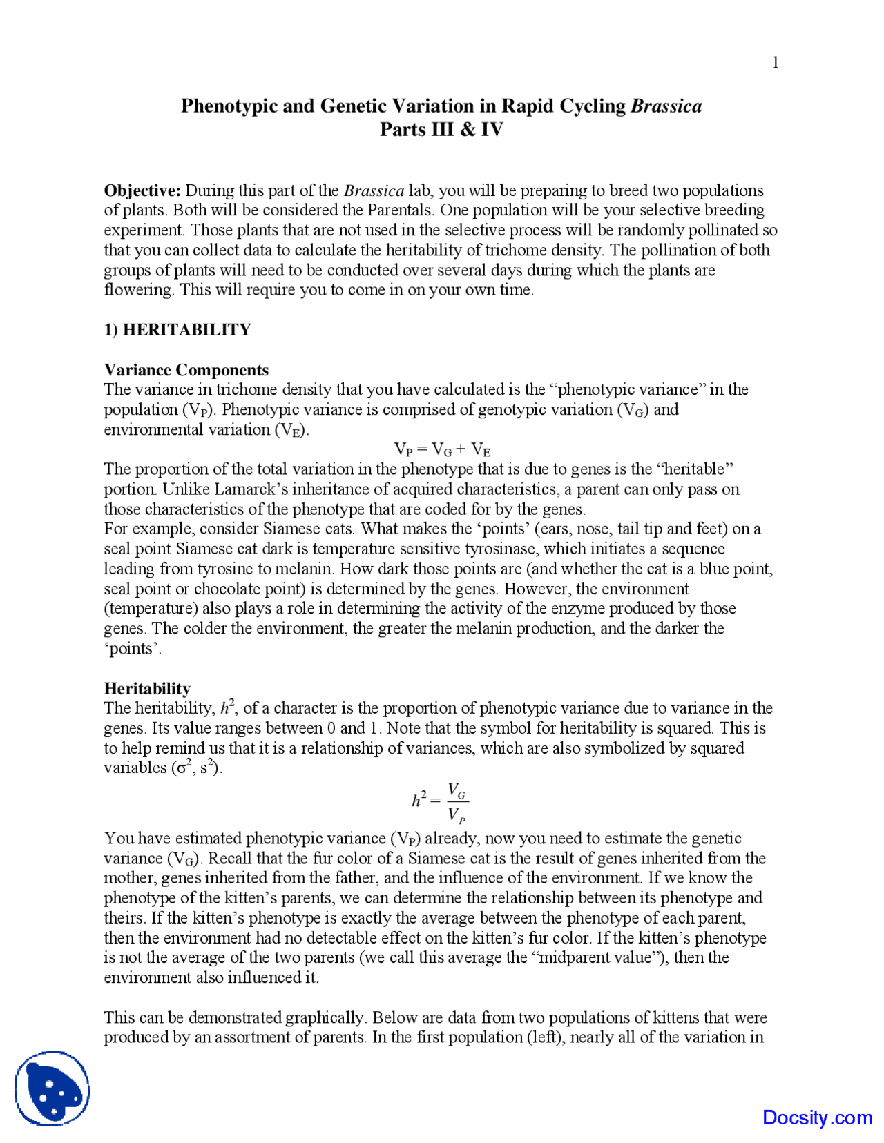 Phenotypic And Genetic Variation Evolutionary Biology Lab Handout