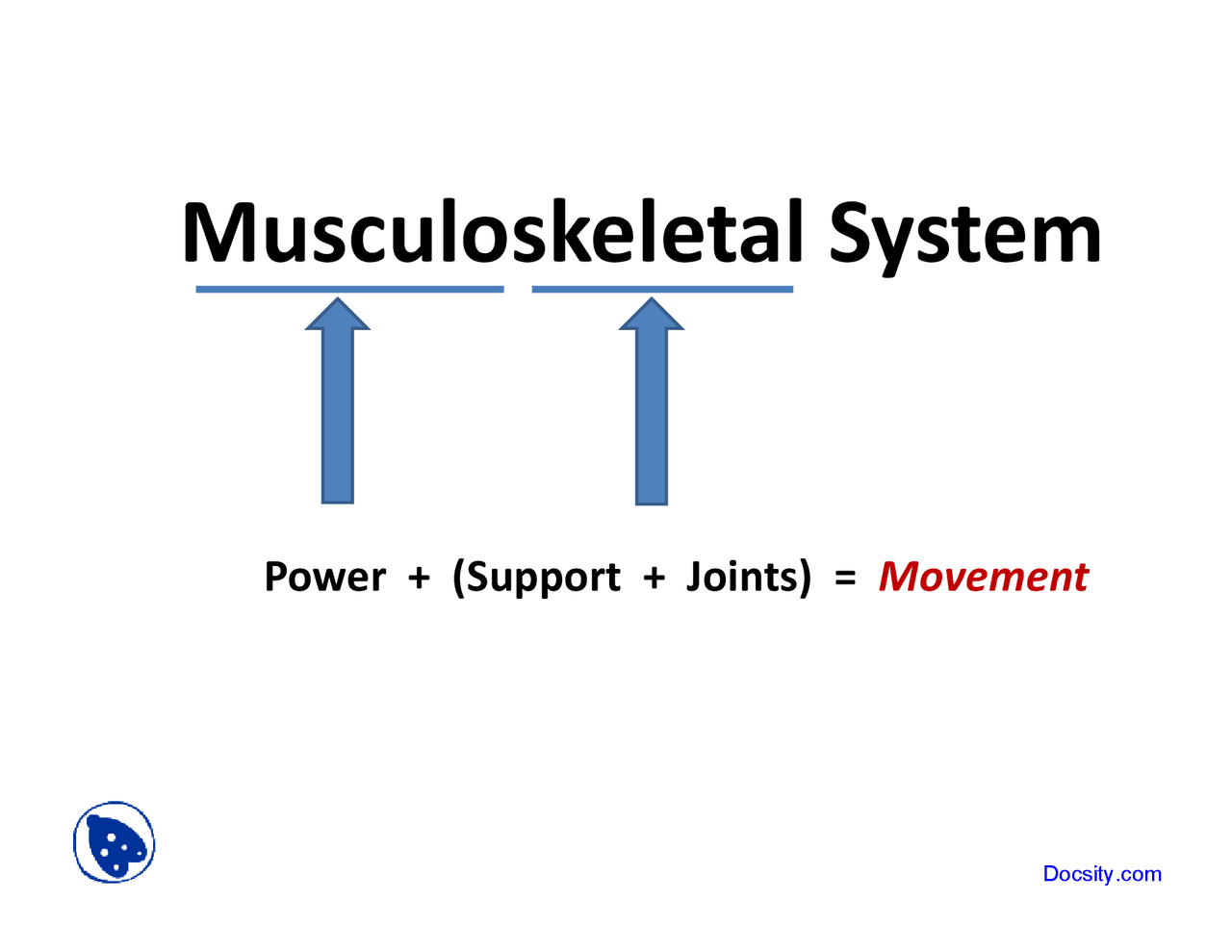 Musculoskeletal System - Fundamentals of Human Biology - Lecture Slides ...