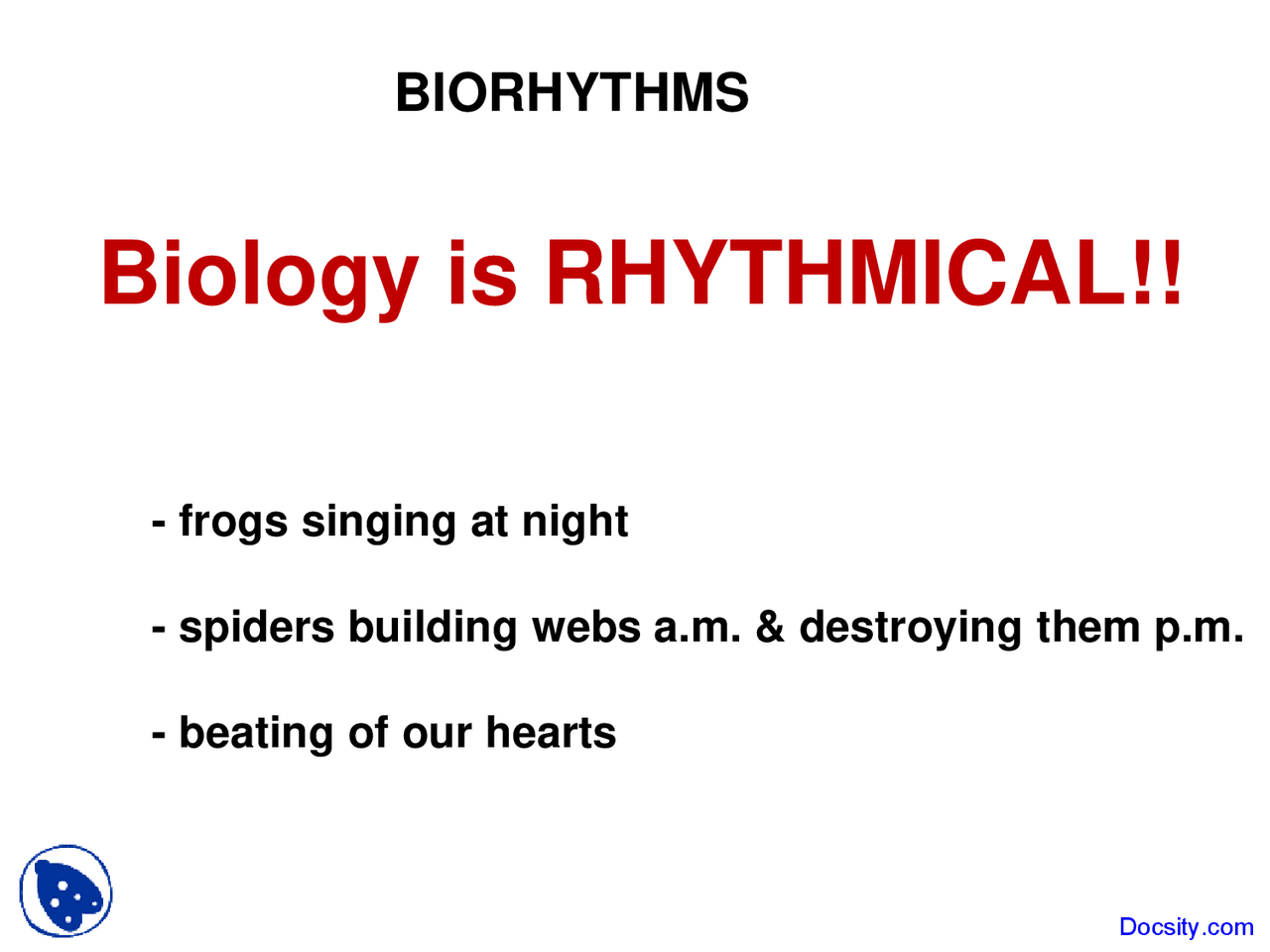 Biorhythms - Biology of Animals - Lecture Slides - Docsity