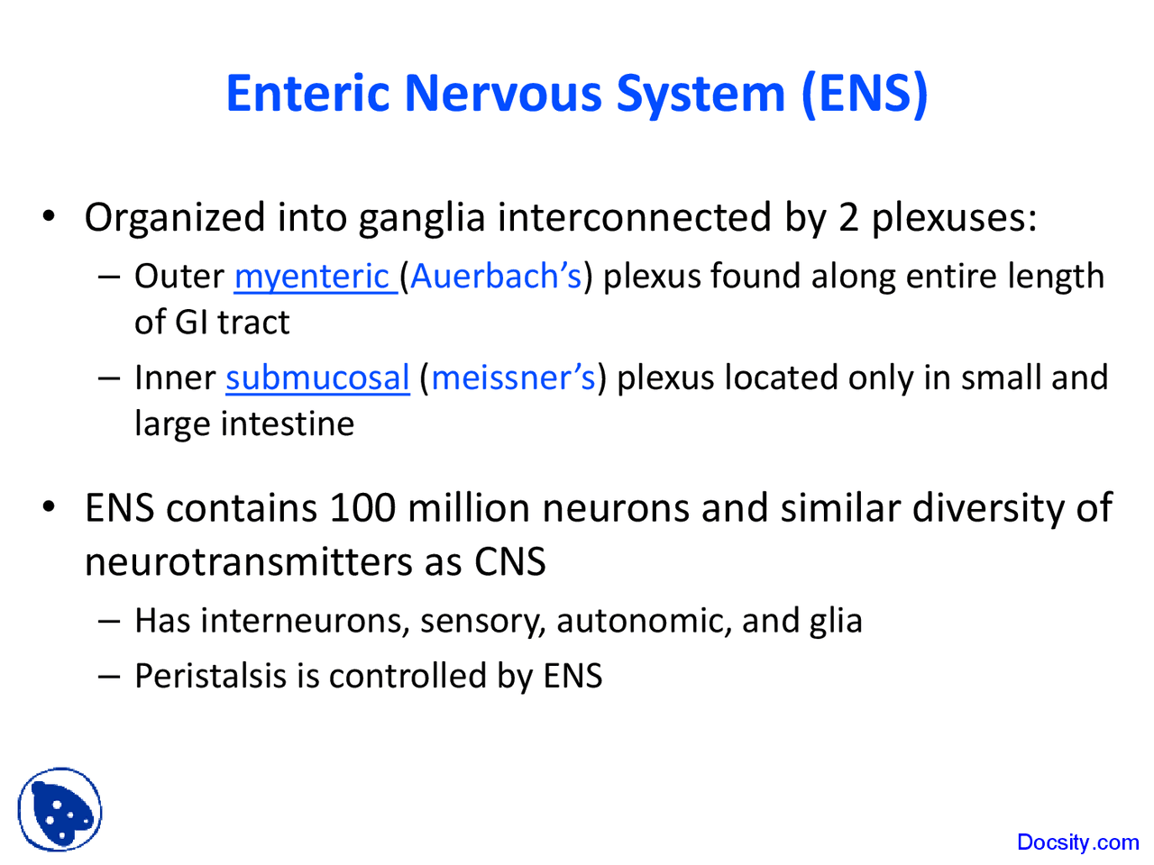 Enteric Nervous System - Introduction to Human Physiology - Lecture ...