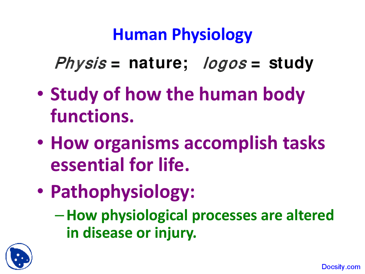 Human Body Functions - Introduction to Human Physiology - Lecture ...
