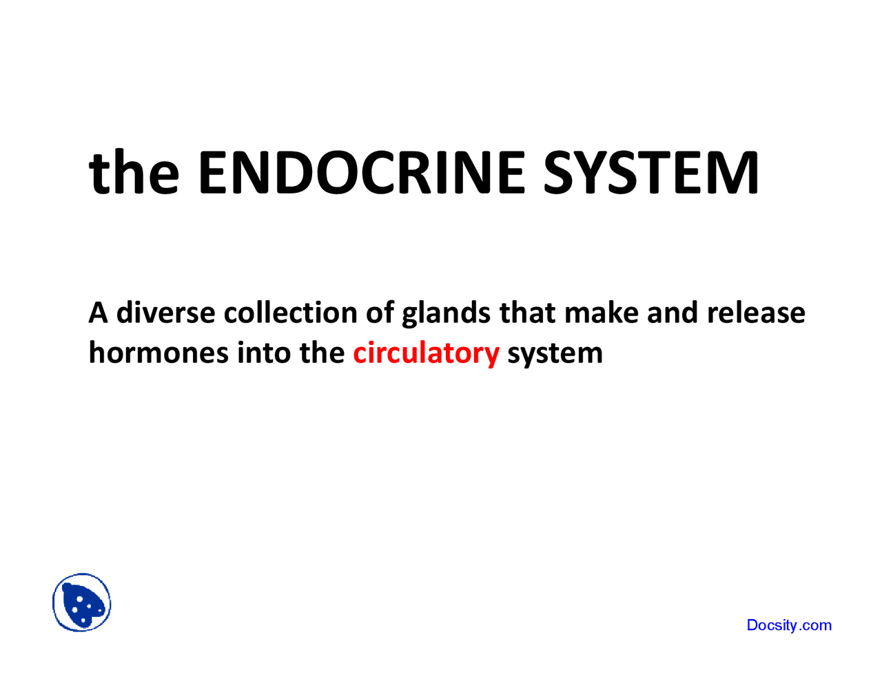 Endocrine System Fundamentals Of Human Biology Lecture Slides Docsity