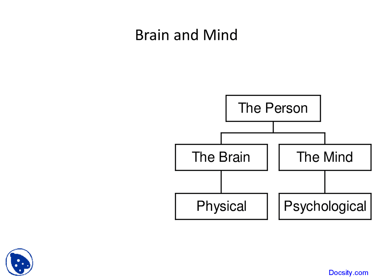 Brain And Mind Introduction To Human Physiology Lecture Slides