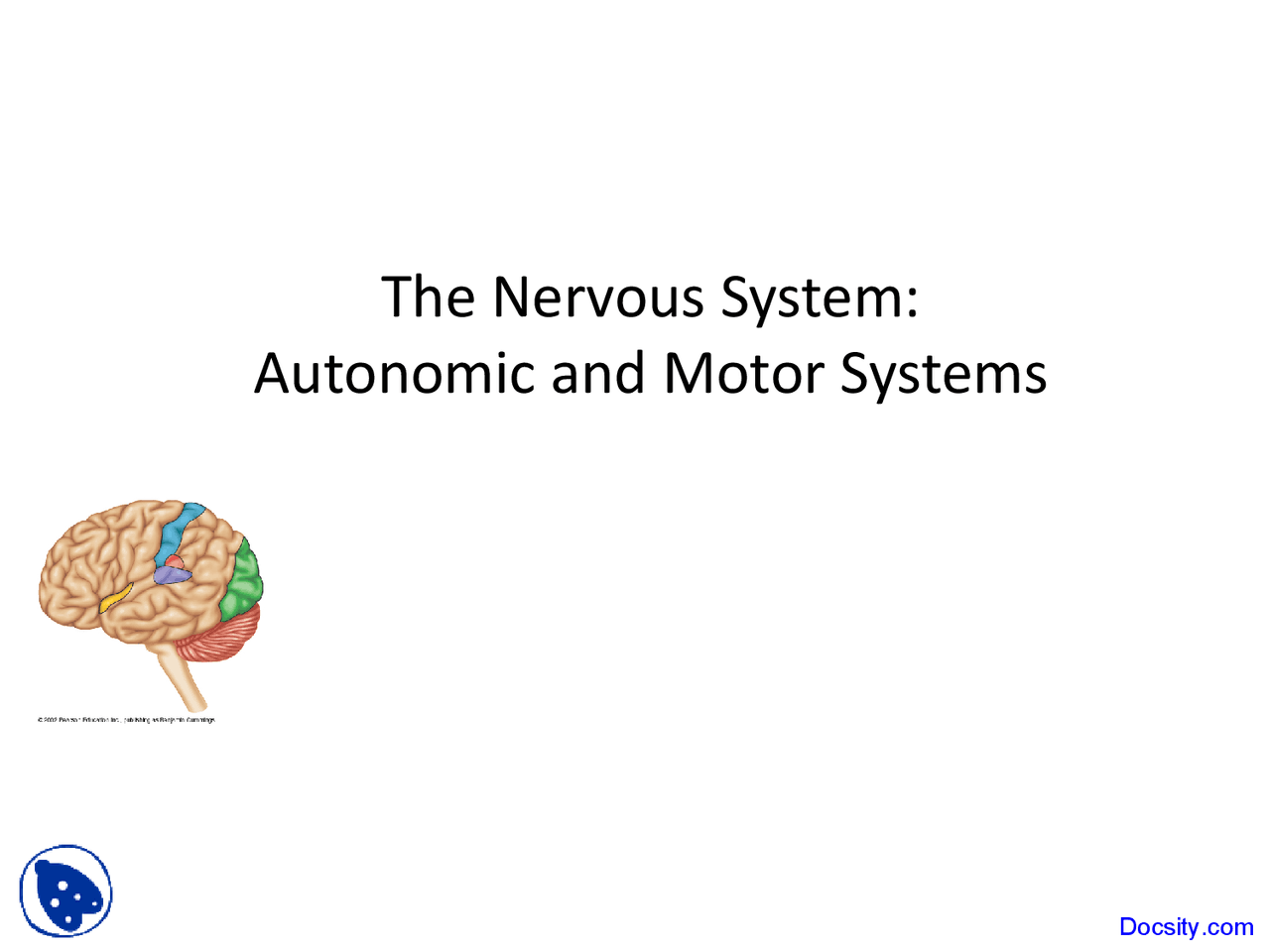 Autonomic and Motor Systems - Introduction to Human Physiology ...