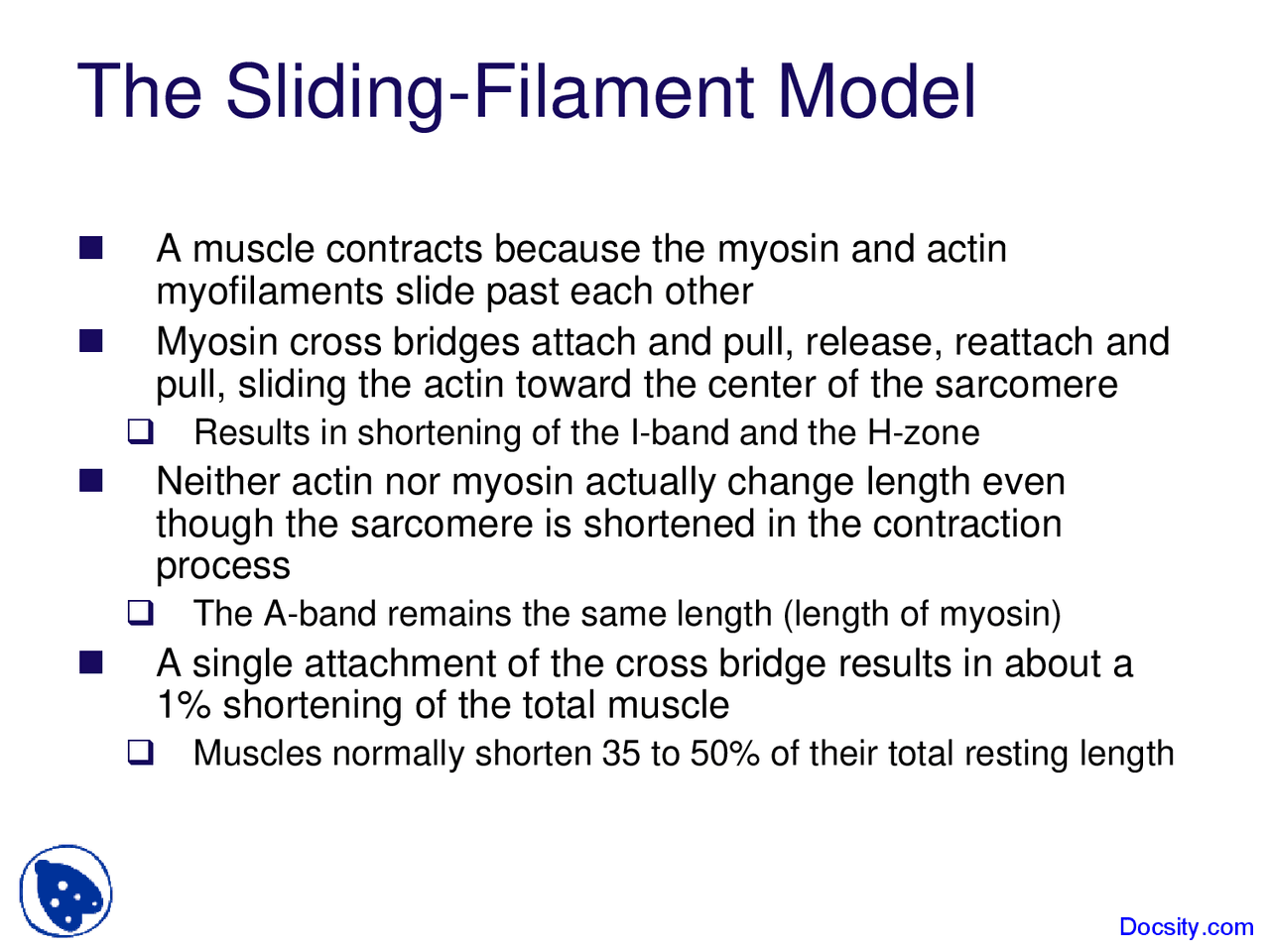 Sliding Filament Model - Introduction to Human Physiology - Lecture ...