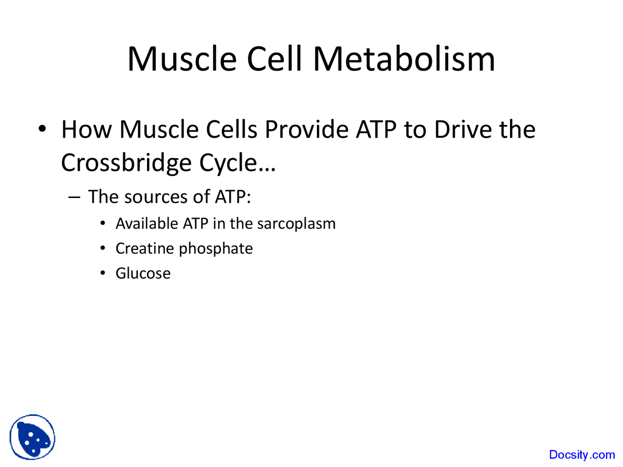 Muscle Cell Metabolism - Introduction to Human Physiology - Lecture ...
