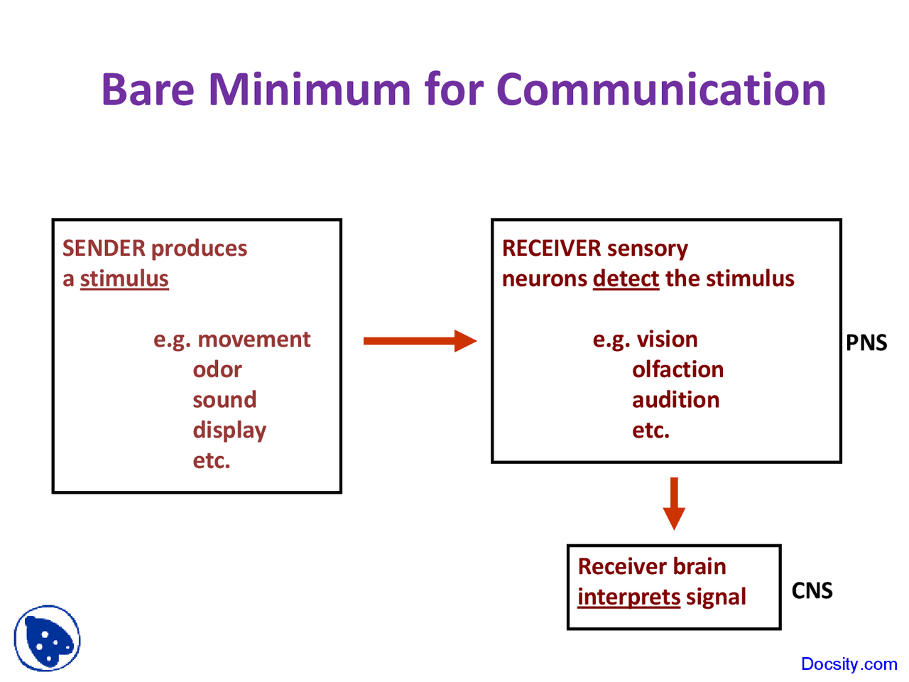 Bare Minimum for Communication - Zoology - Lecture Slides - Docsity