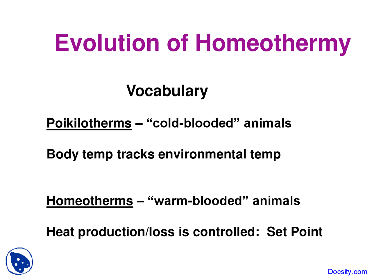 Evolution of Homeothermy - Zoology - Lecture Slides - Docsity