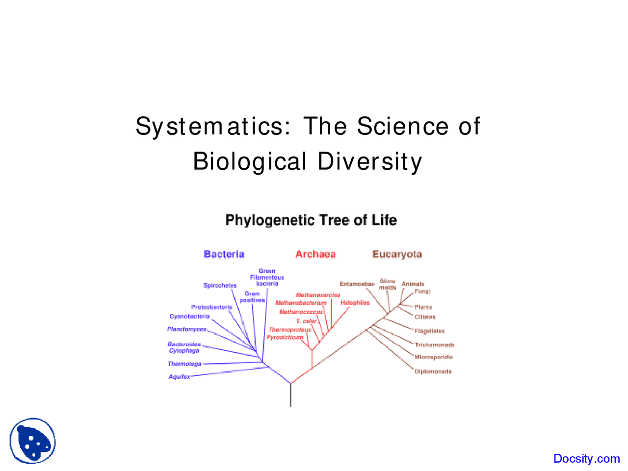 Systematics Botany Lecture Slides Docsity