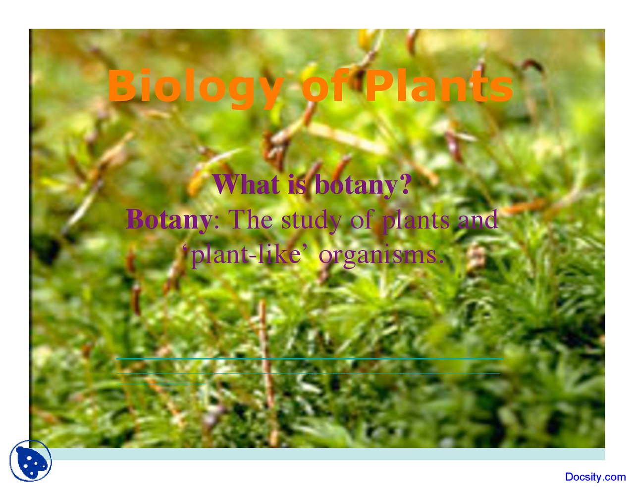 Biology Of Plants Botany Lecture Slides Docsity
