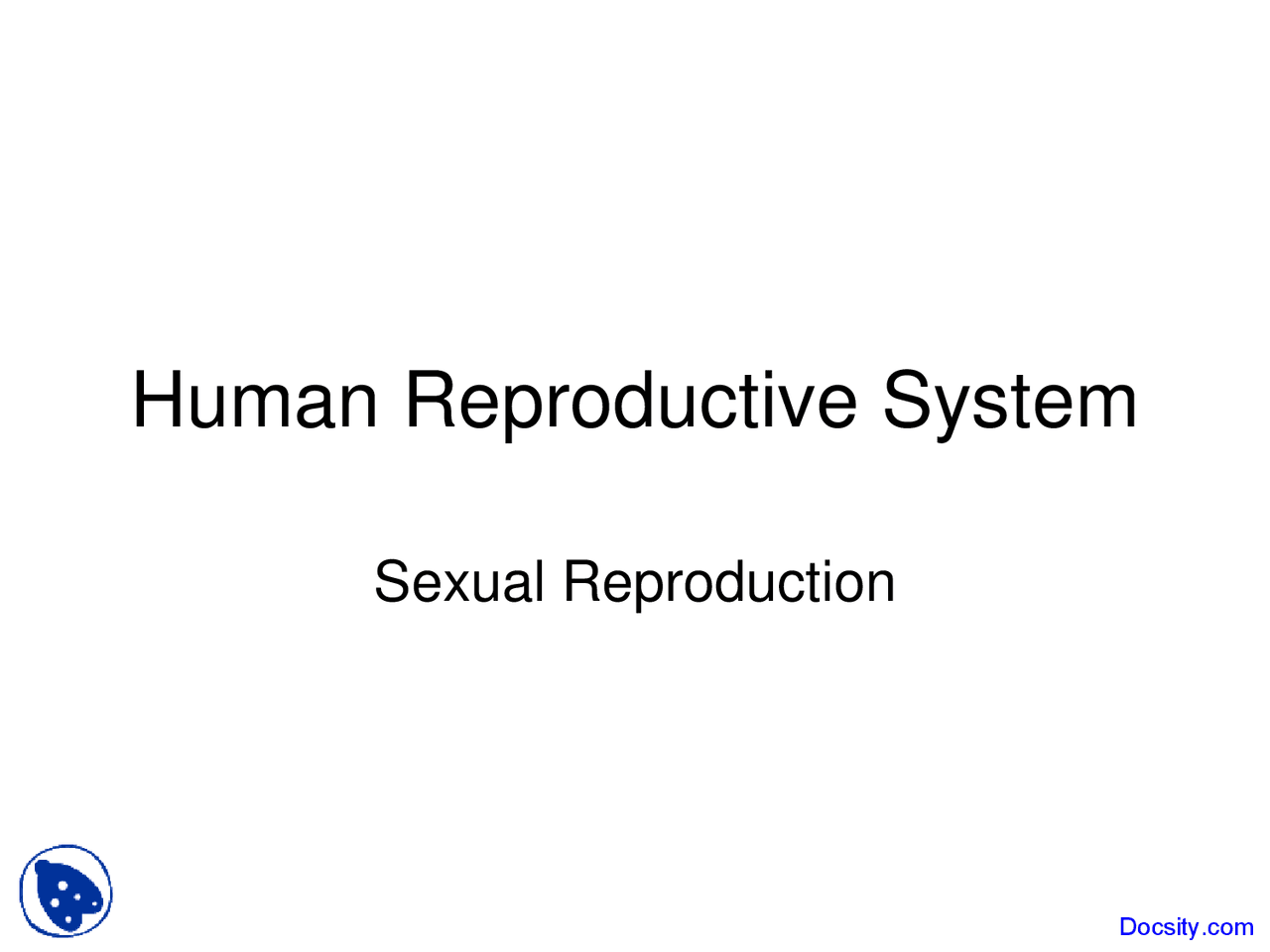 Human Reproductive System Human Systems Lecture Slides Docsity