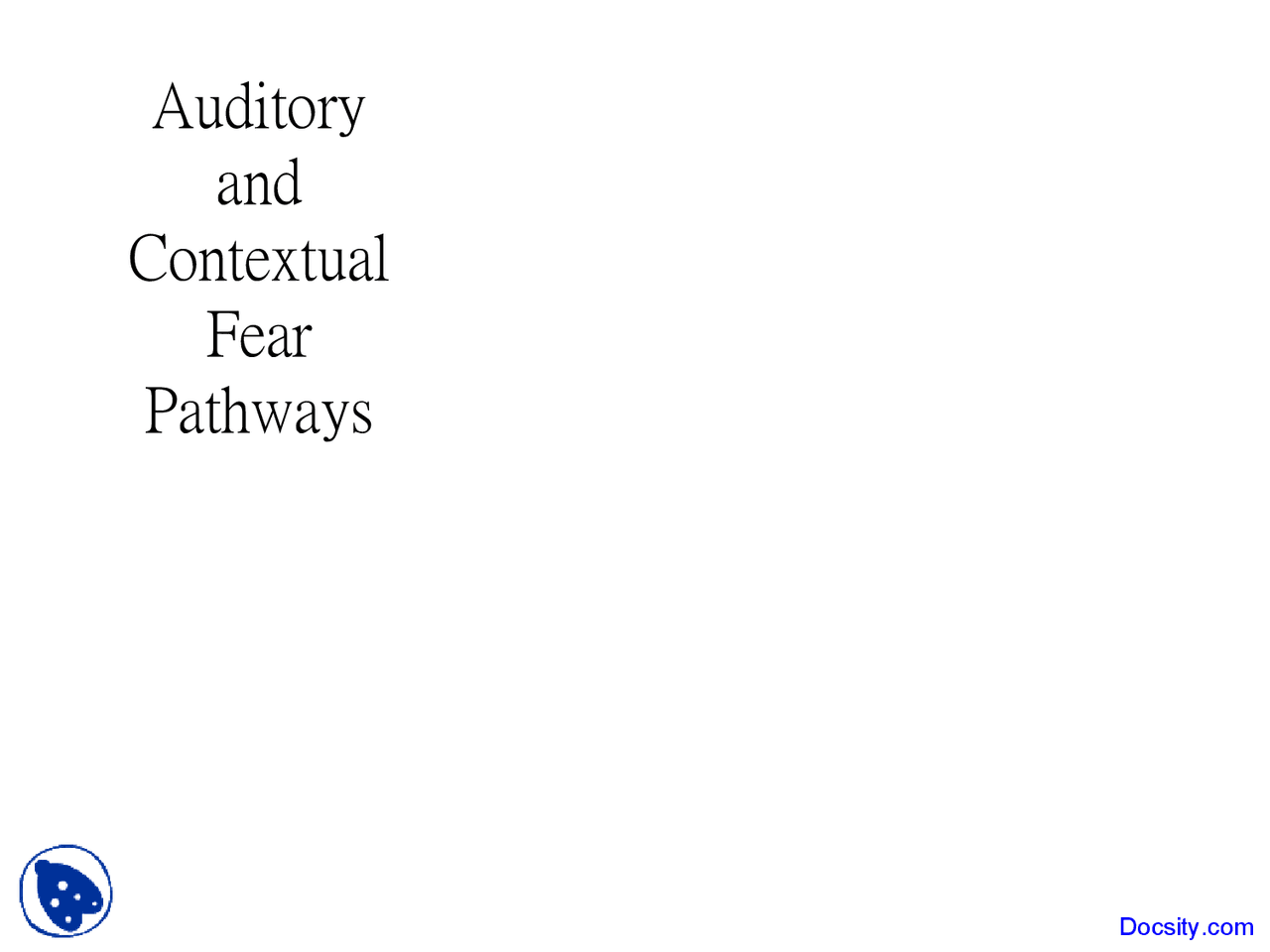 Contextual Fear Pathways Neurobiology Lecture Slides Docsity