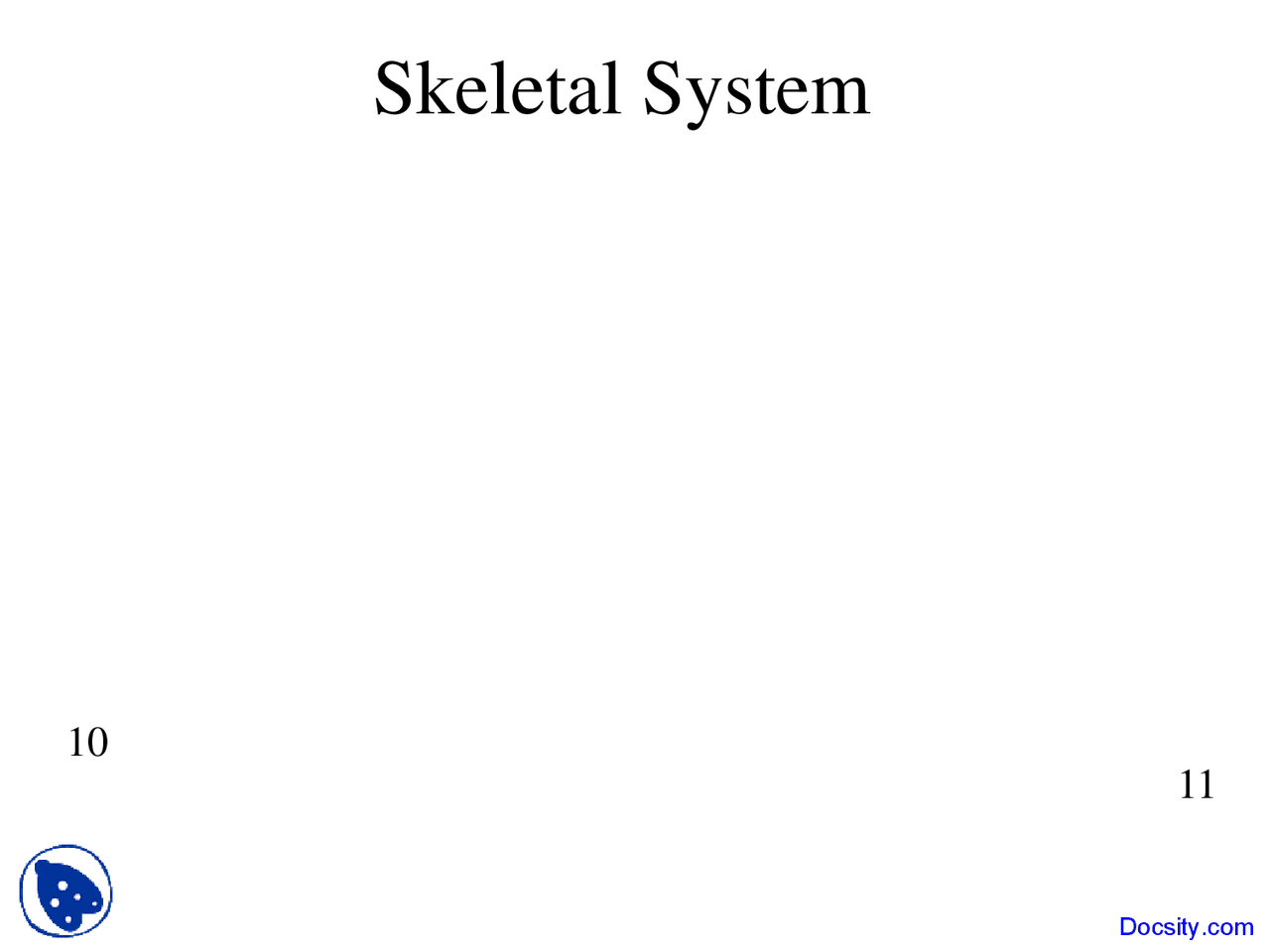 Skeletal System Ornithology Lecture Slides Docsity