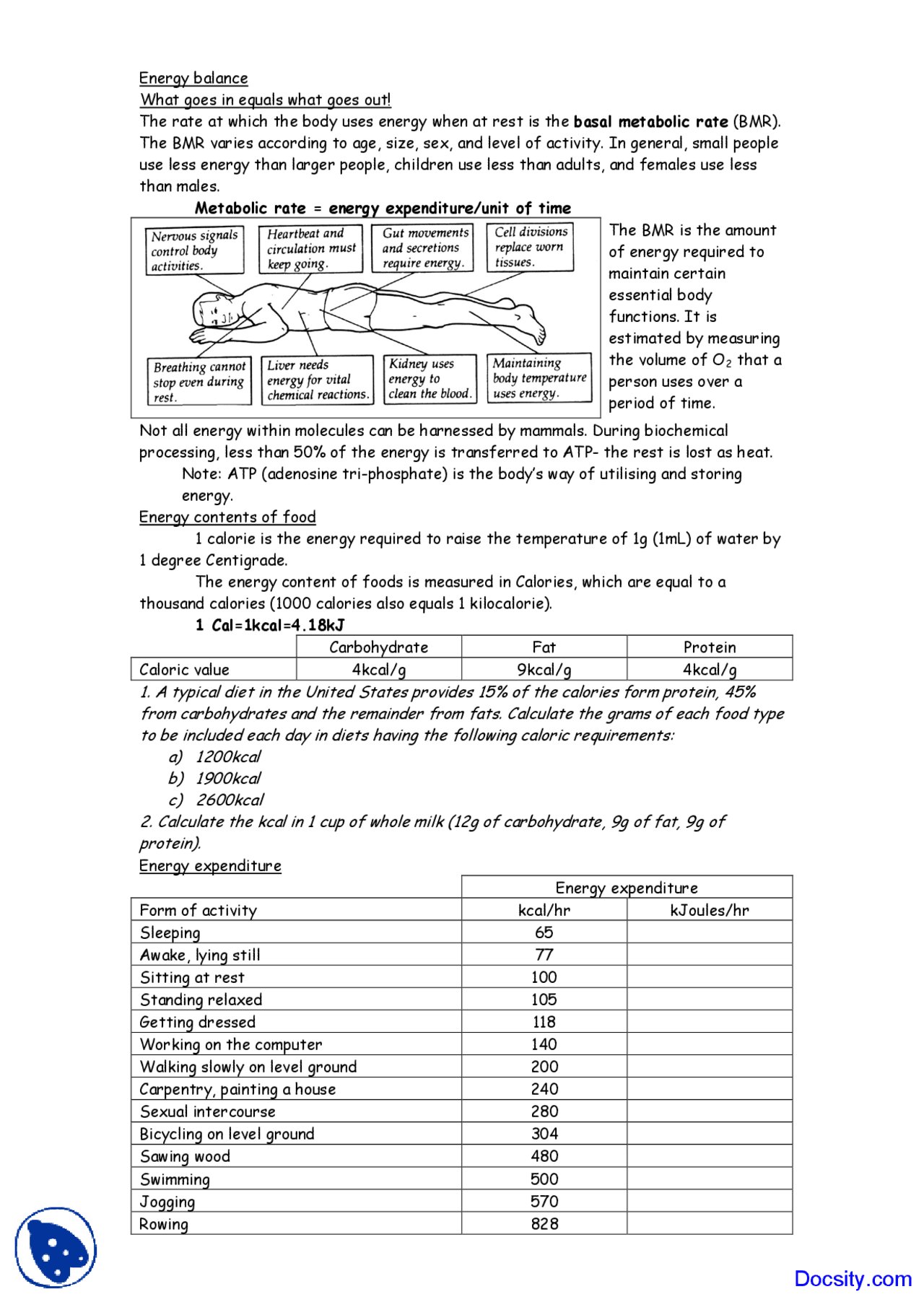 Energy Balance Human Movement Lecture Notes Docsity