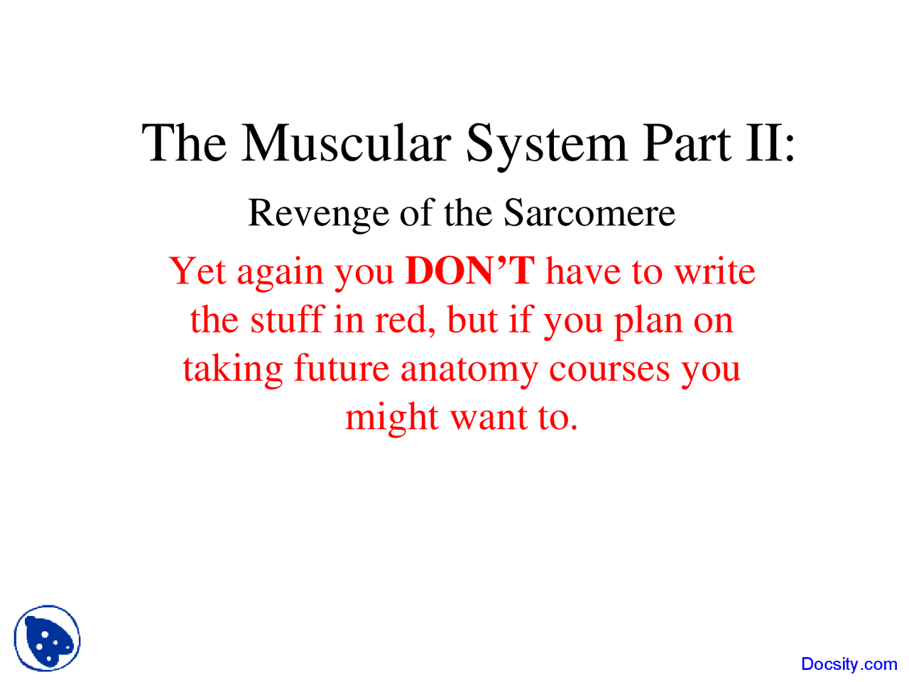 Muscular System Human Movement Lecture Slides Docsity