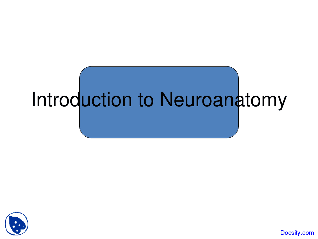 Introduction To Neuroanatomy Neurobiology Lecture Slides Docsity
