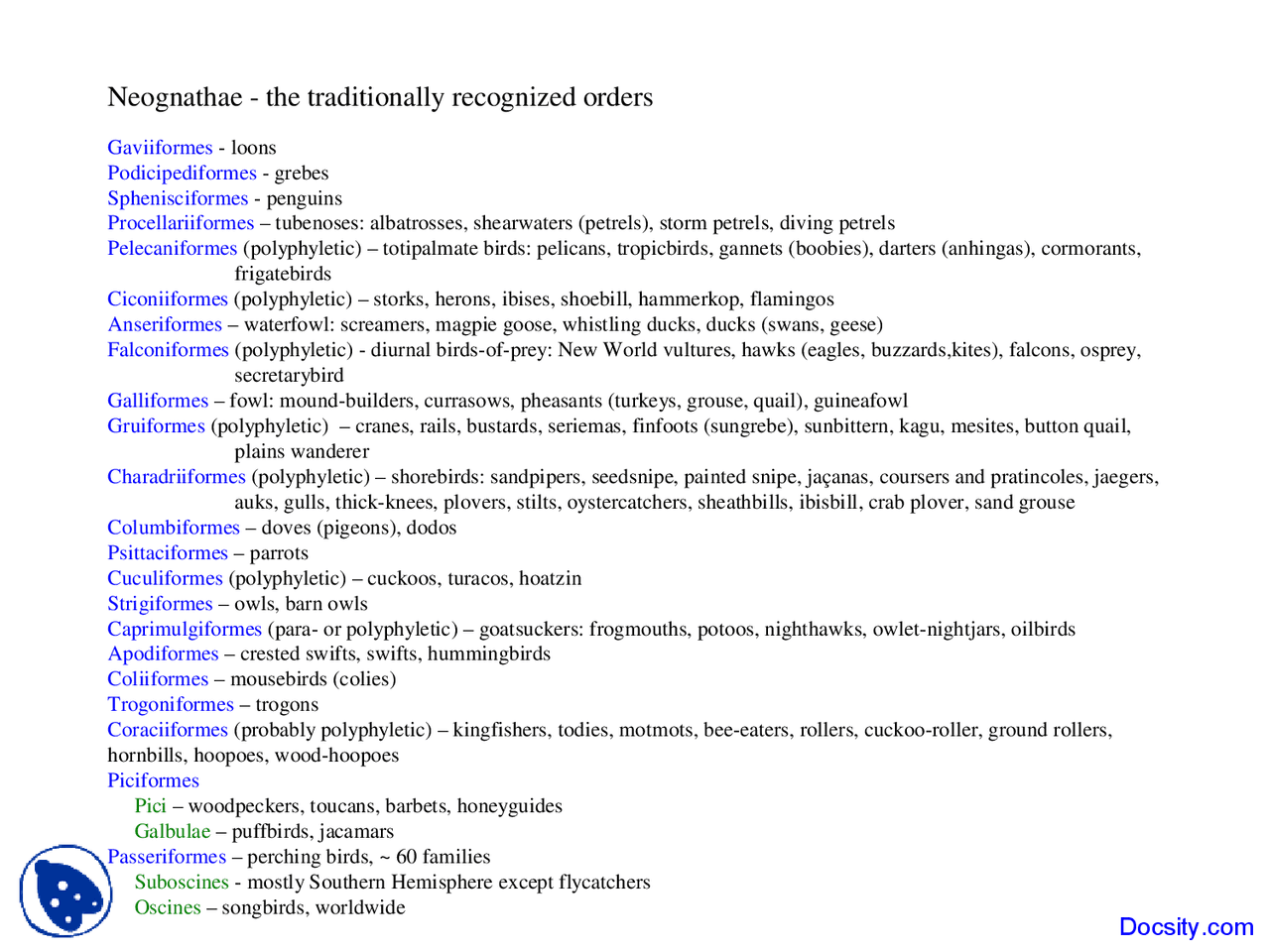 Neognathae Advanced Ornithology Lecture Slides Docsity