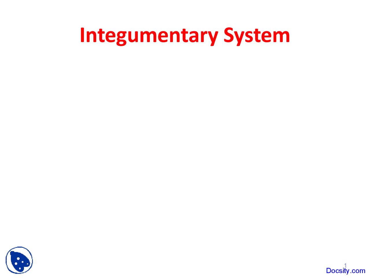 Integumentary System -Human Physiology and Anatomy - Lecture Slides ...