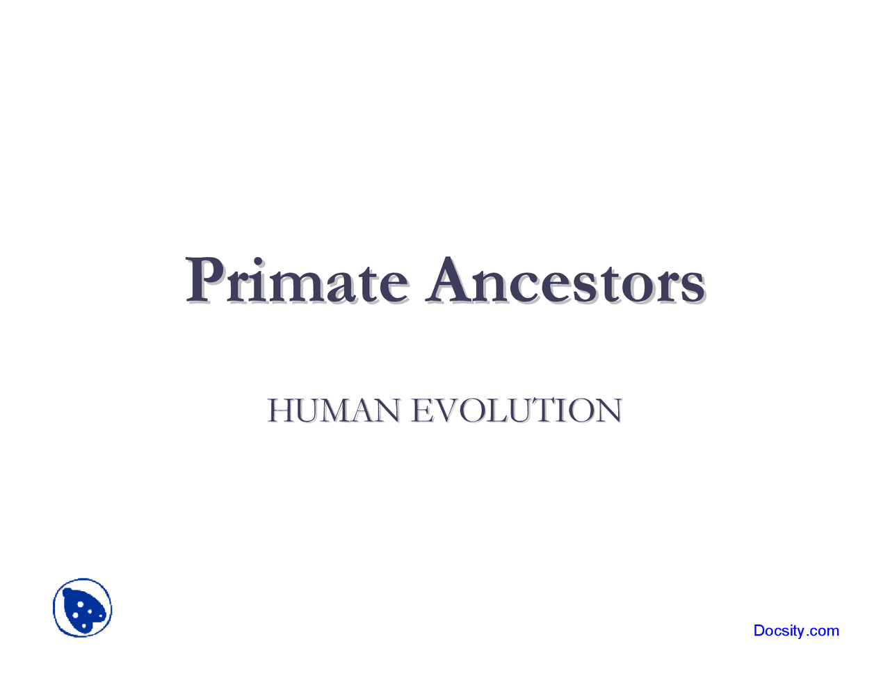 Primate Ancestors - Biology of Human Beings - Lecture Slides | Slides ...