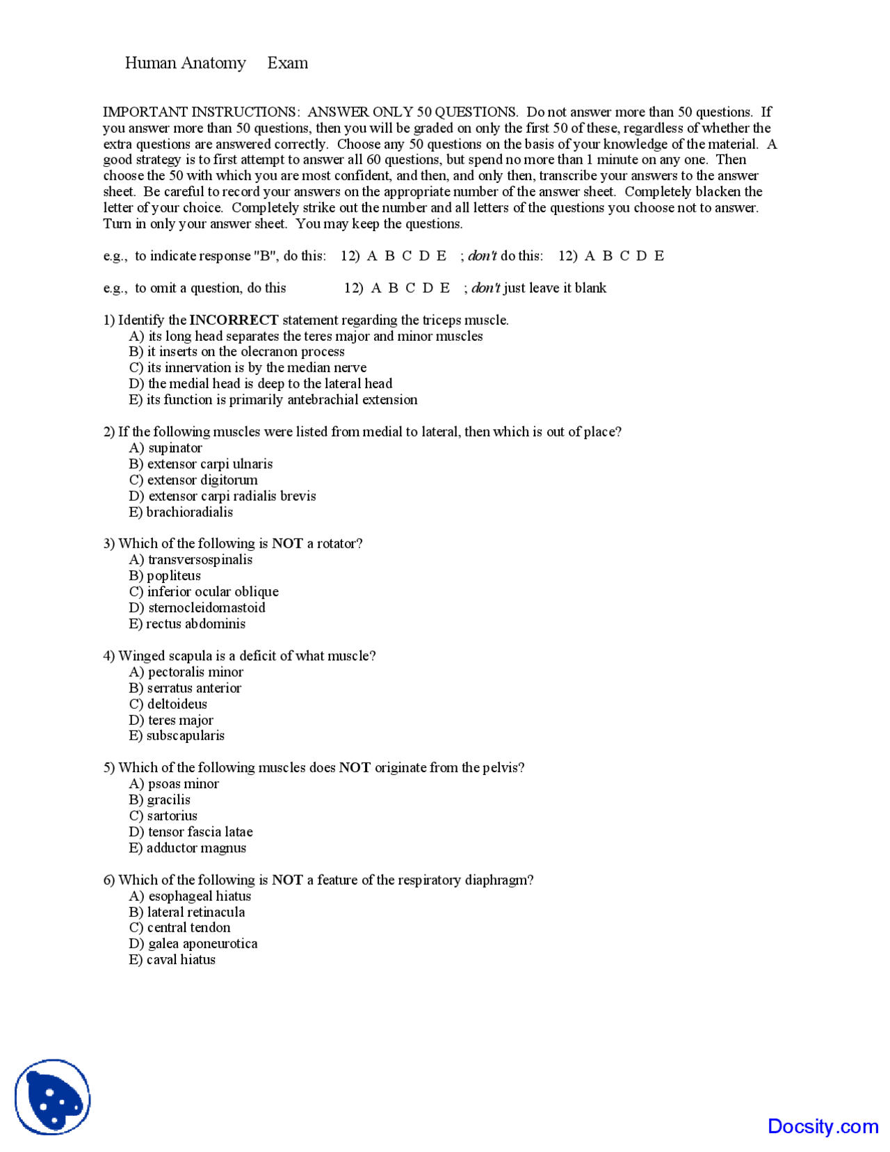 Triceps Muscle - Morphology of Human Body - Exam | Exams Human Biology ...