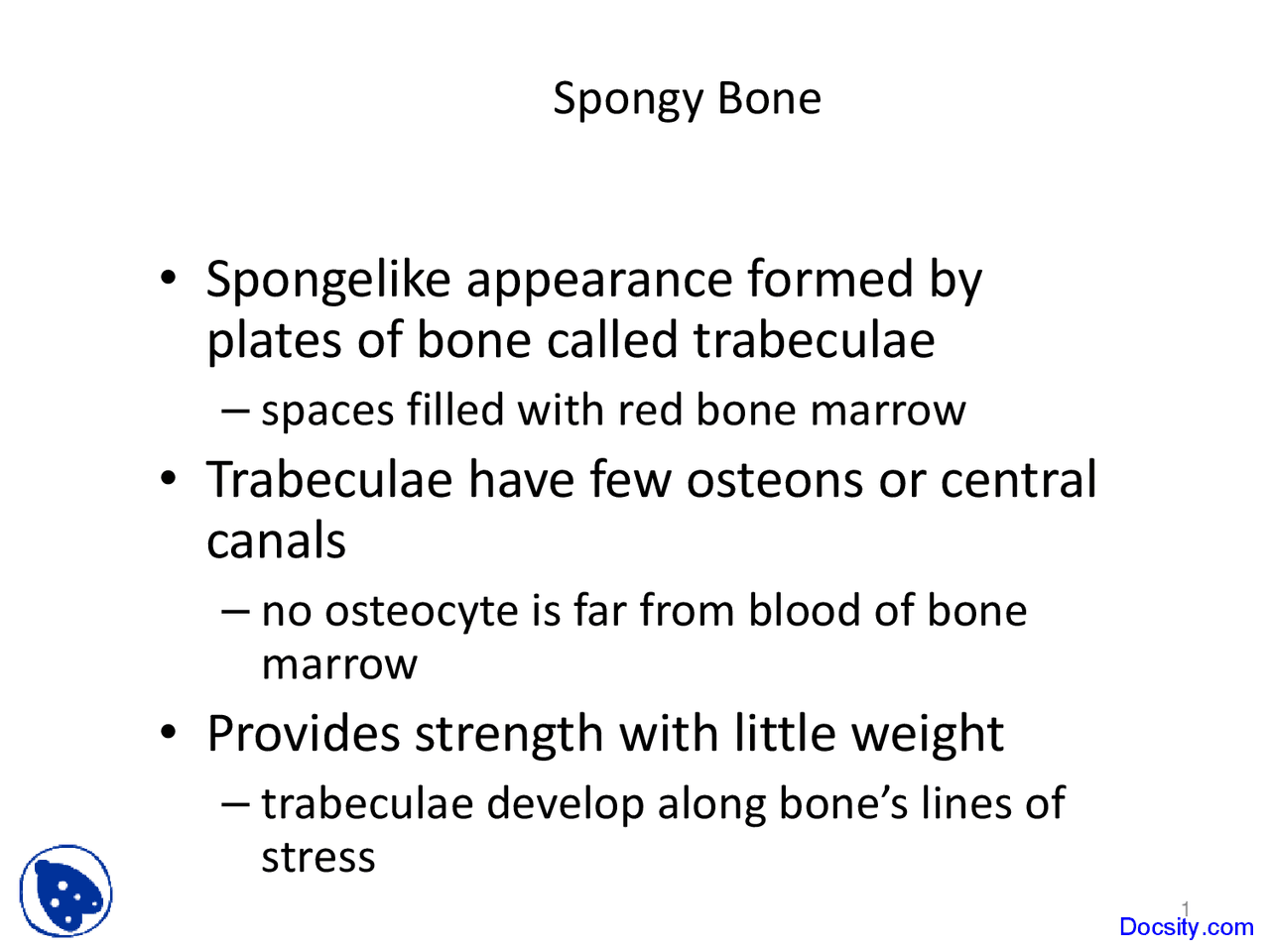 Spongy Bone -Human Physiology and Anatomy - Lecture Slides - Docsity