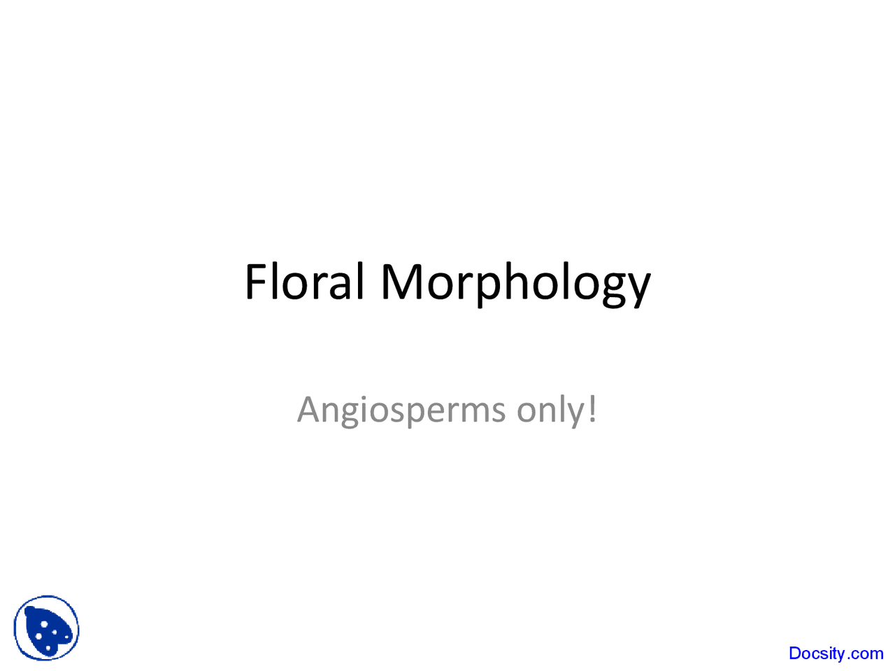Basal Eudicots And Angiosperms Plant Taxonomy Lecture Slides Docsity