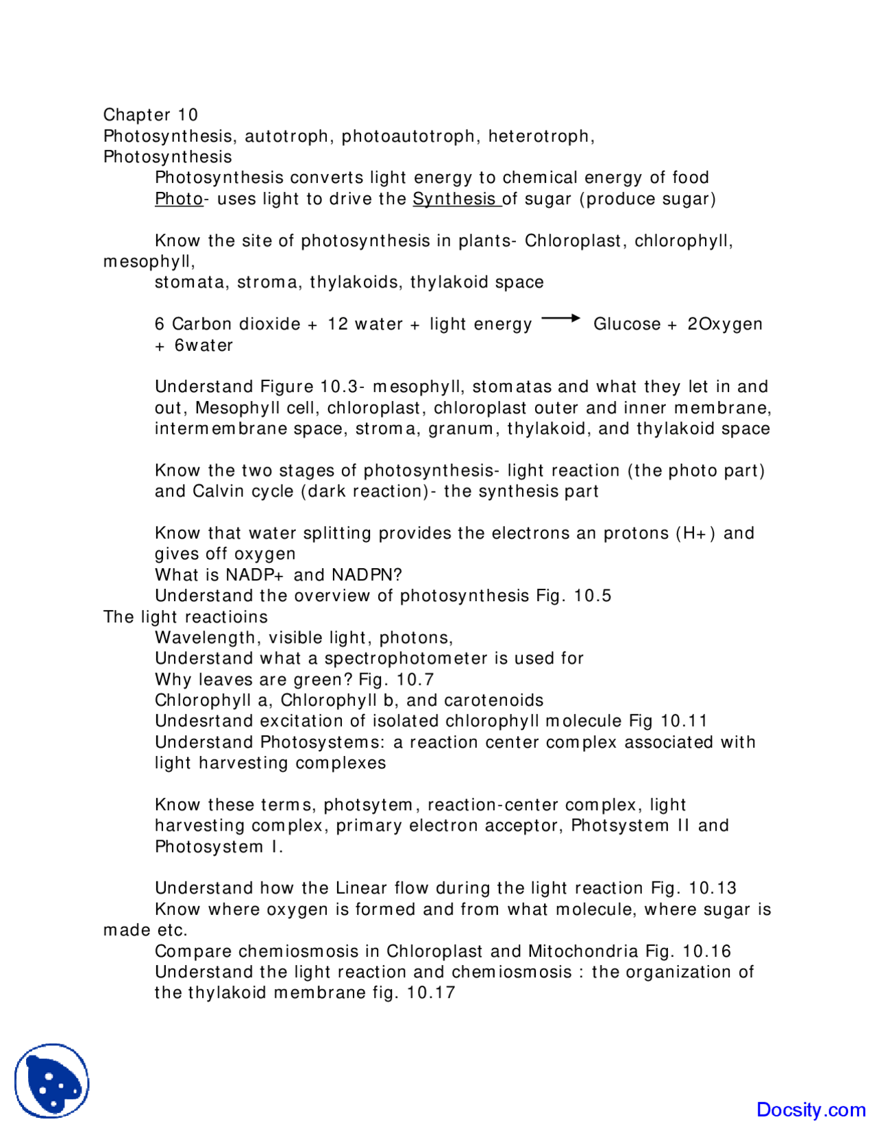 Photosynthesis, Autotroph - Basic Biology - Quiz - Docsity