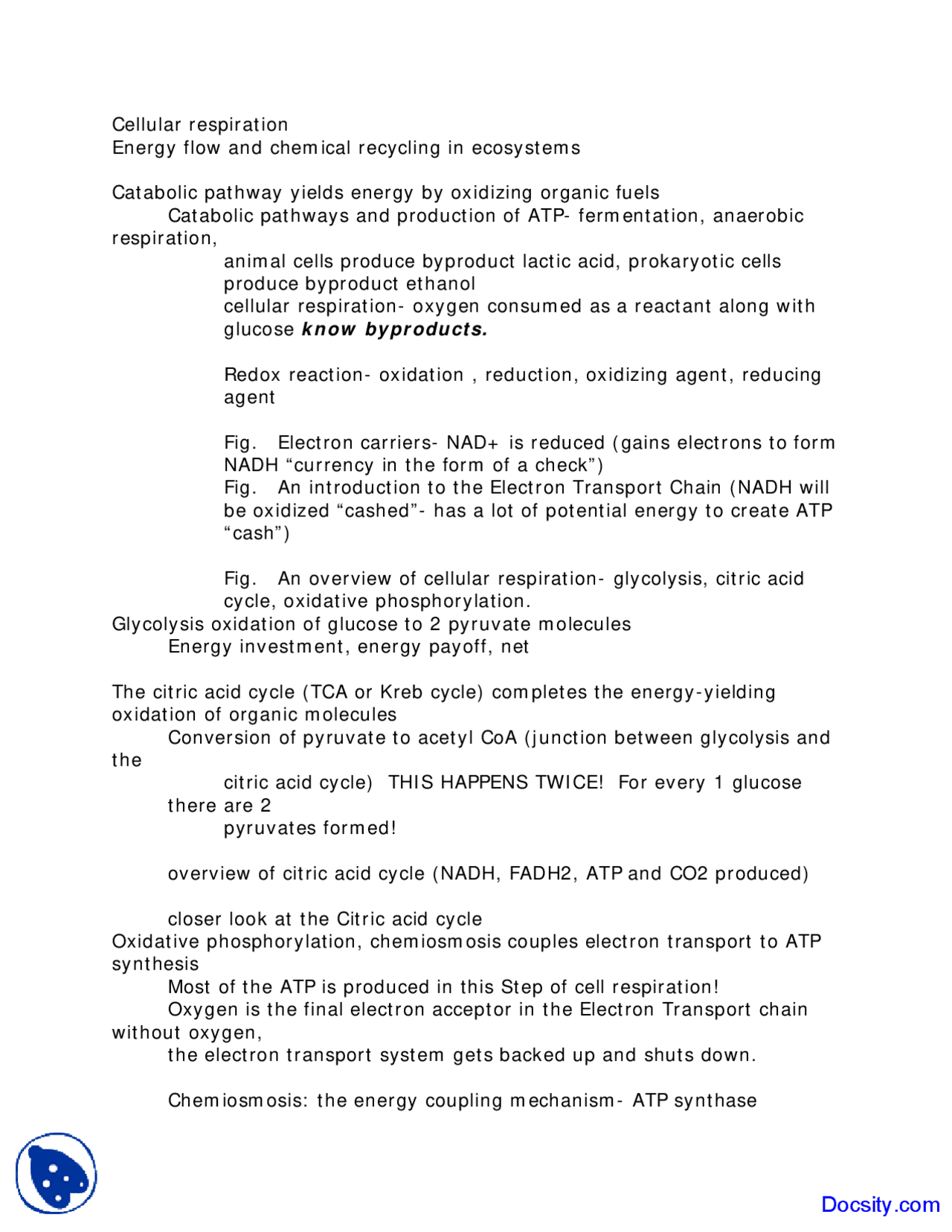 Cellular Respiration Basic Biology Quiz Exercises Biology Docsity