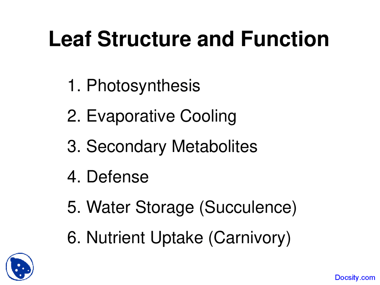 Leaf Structure And Function Biology Of Plants Lecture Slides